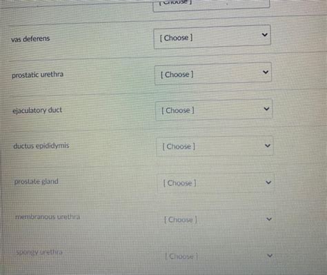 Solved Put The Following In The Correct Sequence To Follow