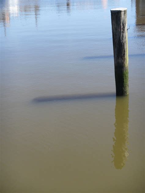 Stratification Archives Adventures In Oceanography And Teaching