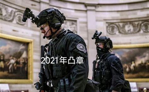 关于usss Cat的评论区问题合集 哔哩哔哩