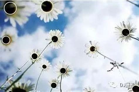 17 棋盘式构图（又称多点式构图）