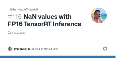 Nan Values With Fp16 Tensorrt Inference · Issue 116 · Mit Han Lab