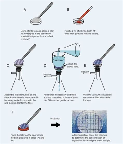 Membrane Filtration Method Types Advantages Disadvantages