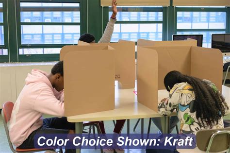 Computer Privacy Shields 19” Tall