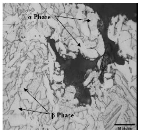 α Phase Grain Structure As Found In Sample F Size Of Scale Bar Is 20 Download Scientific