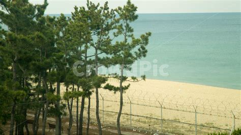 속초 바다 해변가 나무 철조망 사진 이미지 일러스트 캘리그라피 Flyby작가