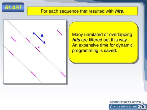 PPT Sequence Similarity Analysis PowerPoint Presentation Free Download ID
