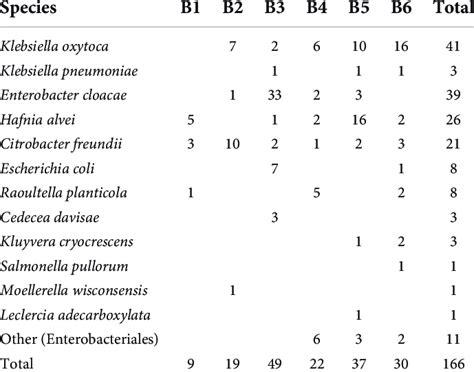 Results Of The Species Identification From The 166 Enterobacteriaceae Download Scientific