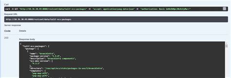 Solved Swagger For Nso Restconf Api Cisco Community