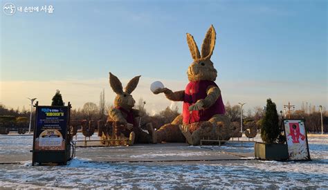 서울시 내 손안에 서울