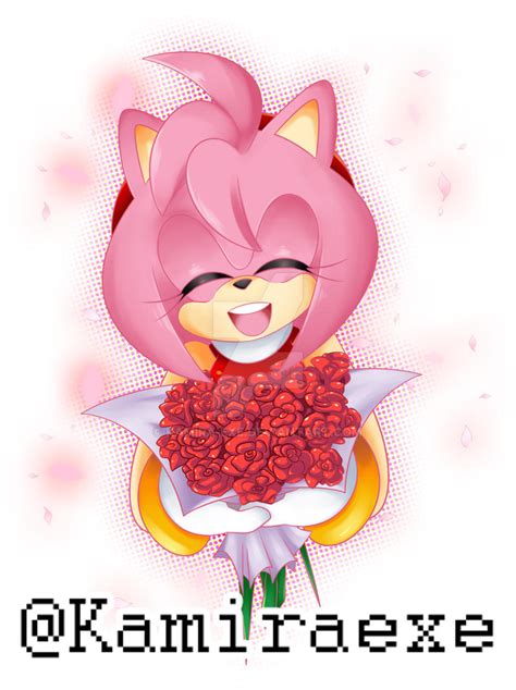 Happy Birthday Amy Rose 22 By Kamira Exe On Deviantart