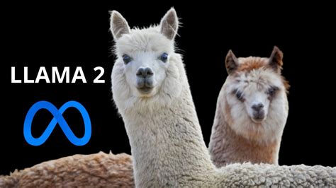 llama 2 beats every open source ai model youtube