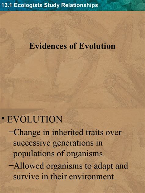 Evidence Of Evolution Through Fossils Comparative Anatomy Embryology And Molecular Biology
