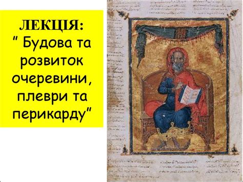 Будова та розвиток очеревини плеври та перикарду презентация онлайн