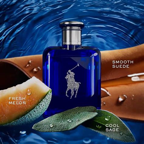 Perfume Ralph Lauren Masculino Mens Perfume Ralph Lauren Polo Blue