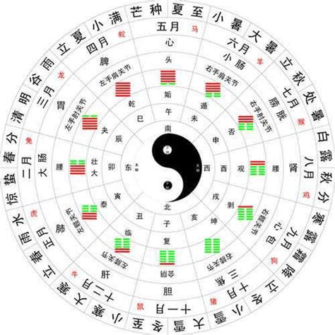 天干地支五行对照表 知乎