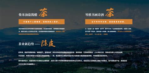 品牌加盟 广东柑邑陈皮有限公司