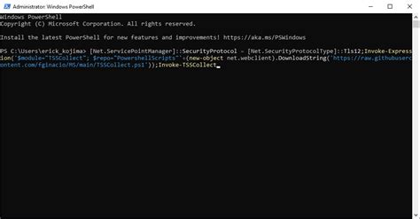 Gather Logs Using Troubleshooting Script TSS In Windows PowerShell