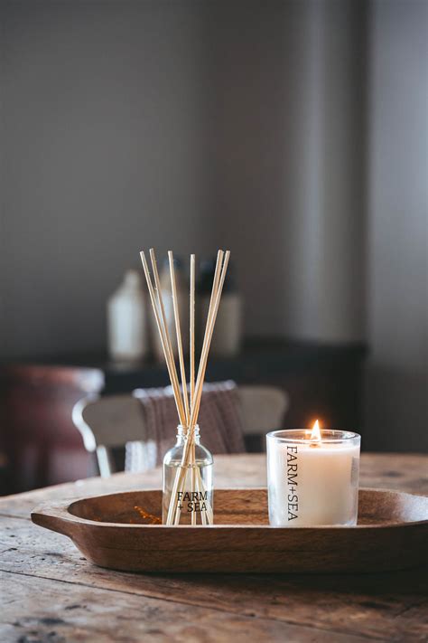 Farm Sea Reed Diffuser