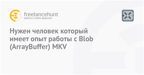 Нужен человек который имеет опыт работы с Blob Arraybuffer Mkv