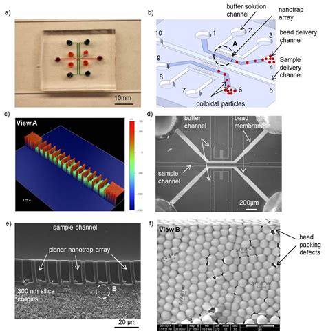 Creating Sub 50 Nm Nanofluidic Junctions In Pdms Microfluidic Chip Via Self Assembly Process Of