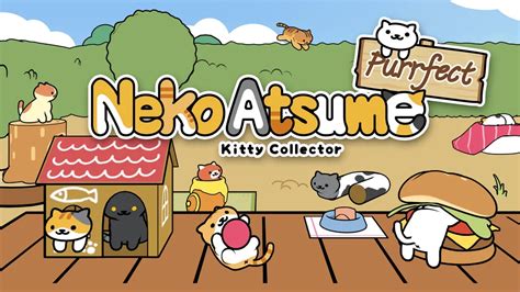 Neko Atsume Purrfect Hands On Cute Vr Intro For Newcomers
