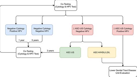 Cervical Cancer Screening Algorithm Via Co Testing The Molecular Test