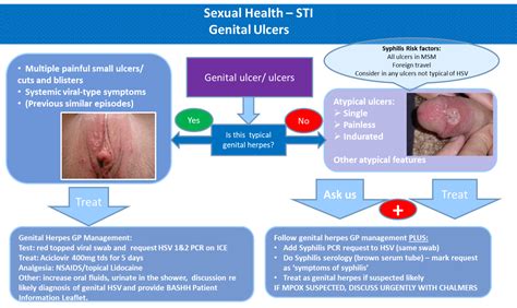 Genital Ulcersherpes Simplex Refhelp