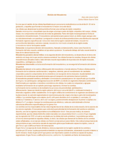 División Del Mesodermo Pdf Biología Del Desarrollo Zoología