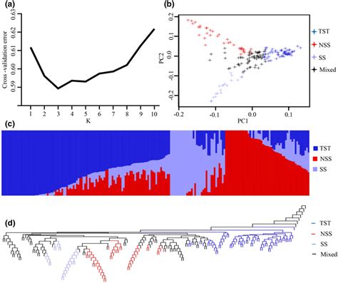 Population Structure Principal Component Analysis And Phylogenetic Download Scientific Diagram