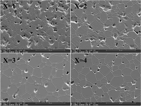 SEM Images Of TiO2 Sample Doped With B Bi O Frit After Sintering At 1400 C Download