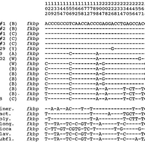 Multiple Nucleotide Sequence Alignment Of The 3 End Of Sync And Download Scientific Diagram
