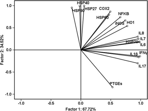 Principal Component Analysis The Rotating Components In Space Download Scientific Diagram