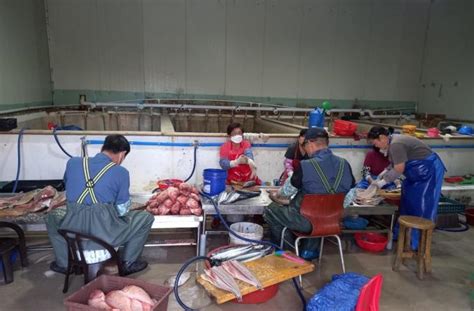 완도군 저소득 계층 위한 자활 사업 추진