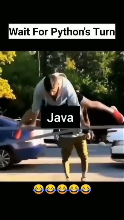 wait for python s turn 😂 coding meme programming meme python memes