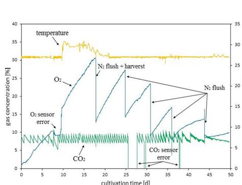 Homogeneous Long Term Cultivation Development Of Gas Concentrations
