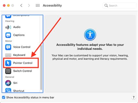 How To Control The Mouse Pointer Using Your Keyboard In MacOS Big Sur AbilityNet
