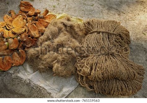 Kerala Coir Making Photos Images And Pictures