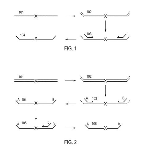 Primer Dimer Patented Technology Retrieval Search Results Eureka