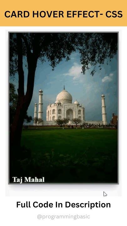 card hover effect html and css hover animation css cssanimationtutorial hovereffect