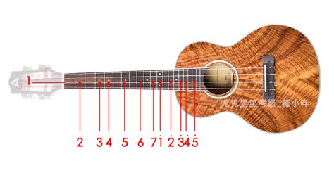 尤克里里的do Re Mi Fa So La Xi在哪里？简谱怎么弹？ 搜狐大视野 搜狐新闻