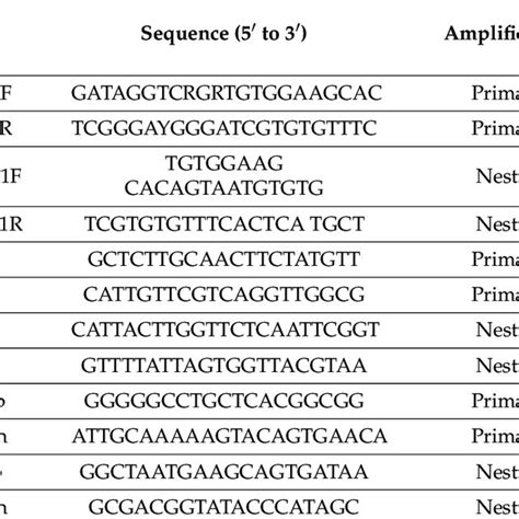 Nucleotide Sequences Of Primers Used In Nested Pcr Download
