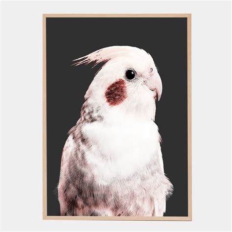 Rosie Cheeks Iconiko