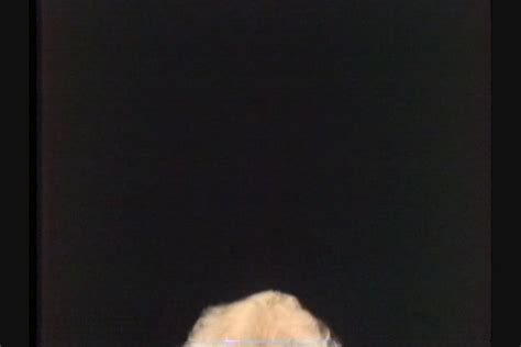 Bi Coastal Adult Empire