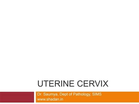 Anatomy And Physiology Of Cervix Pptx