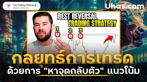 Drawdown คืออะไร ค่า Dd กับ ความเสี่ยงของพอร์ตลงทุน