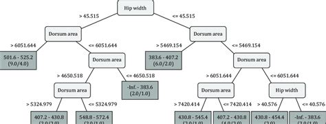 set of discretization regression rules download scientific diagram