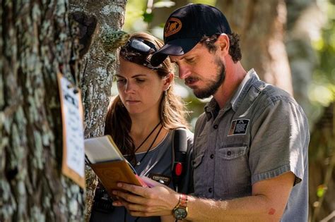 Conducting Wildlife Census Counts Ar Generative Ai Premium Ai Generated Image