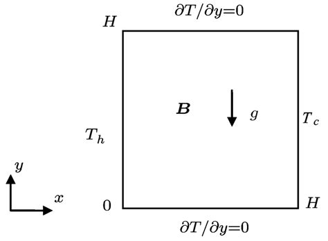 Flow Configuration For Natural Convection Under The High Magnetic Field