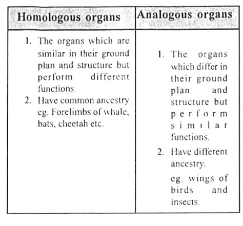 Analogous Structures In Plants
